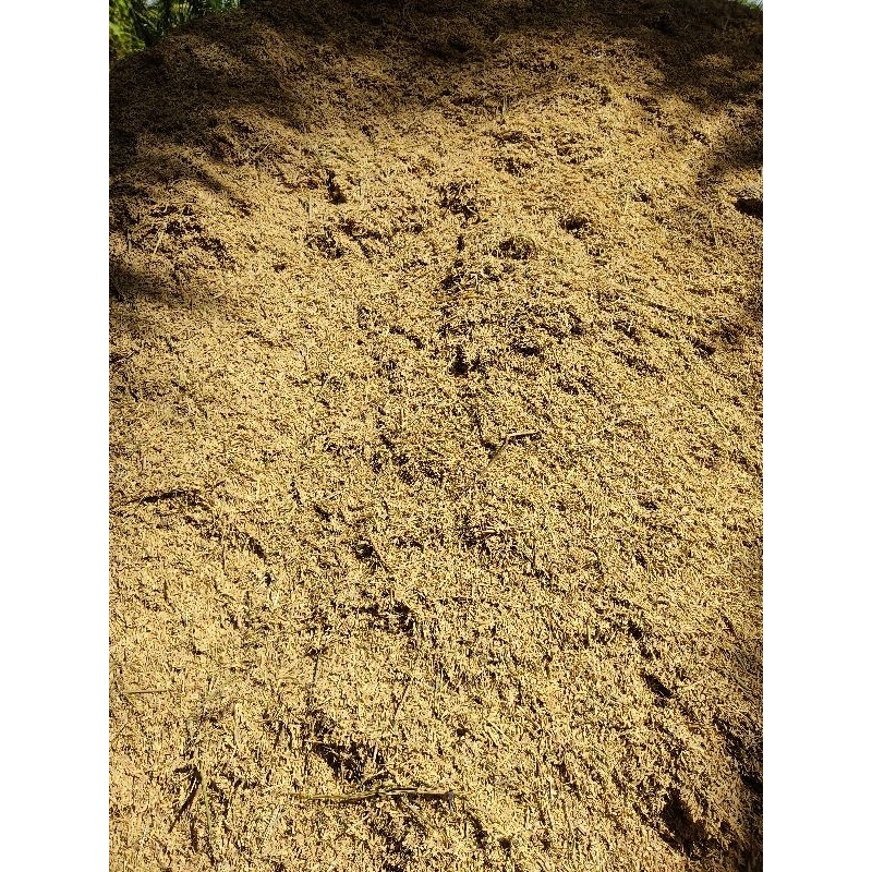 [10kg+] repack Sekam Padi Mentah | sekam kuning | Kulit padi mentah ...