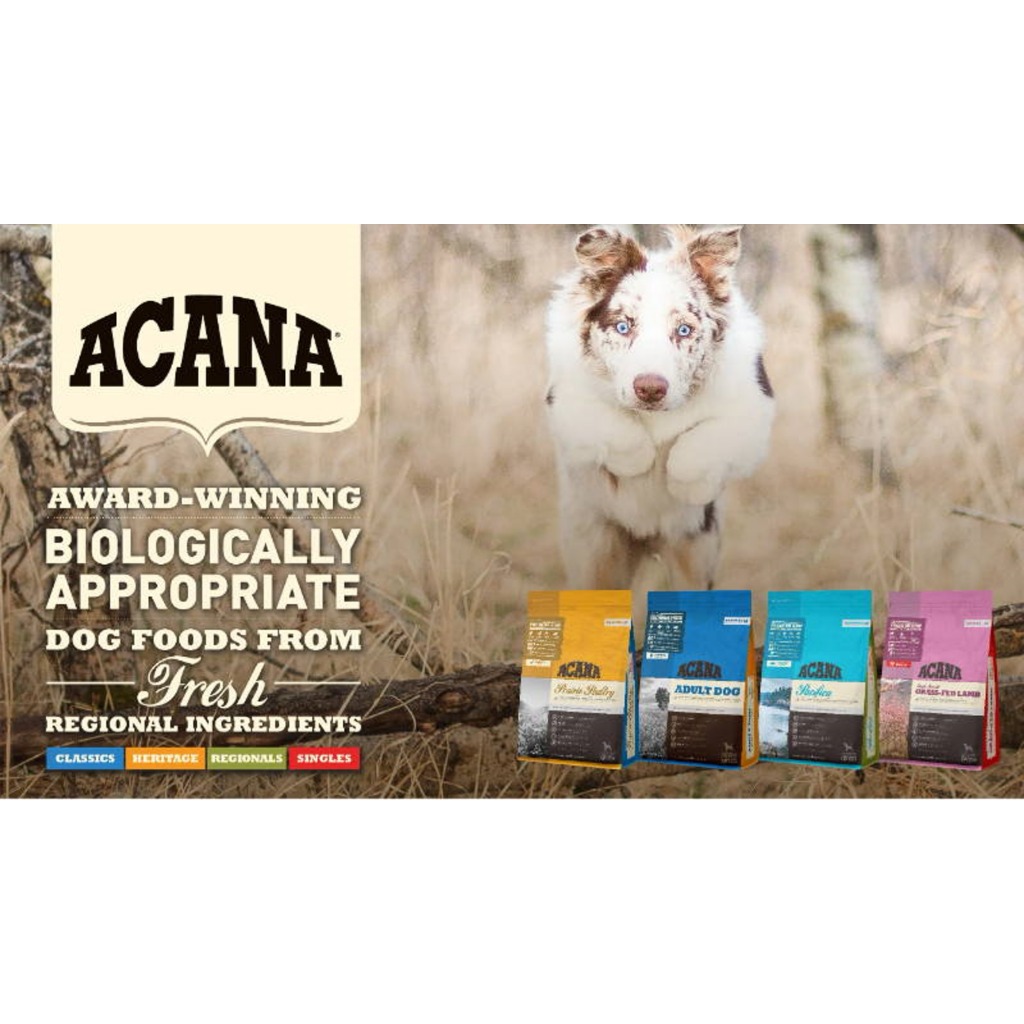 [FREE GIFT] ACANA DOG FOOD 11.4KG ORIGINAL PACK (PUPPY/ ADULT RECIPE ...