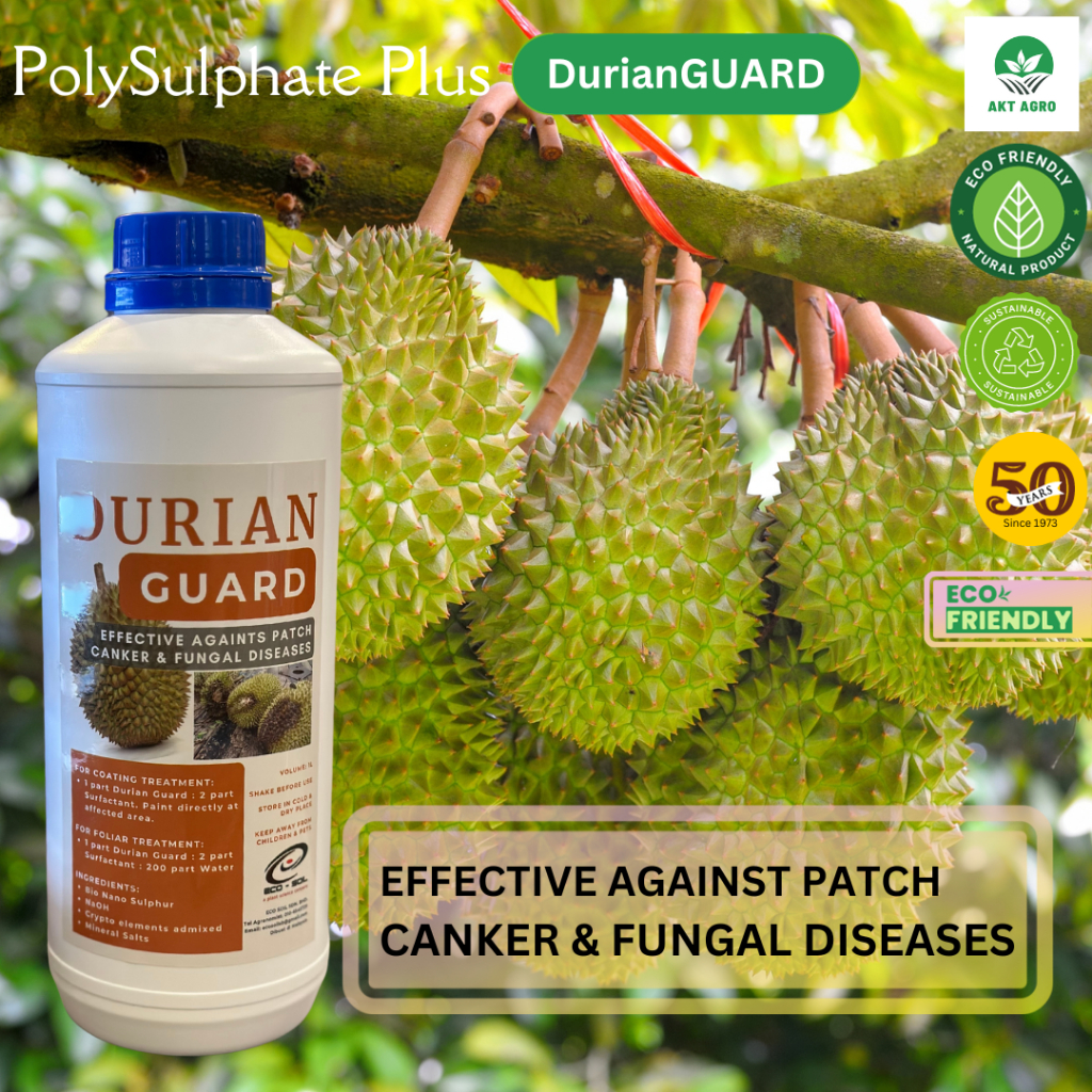 Durian Guard: Formula Sulfur untuk Atasi Canker & Penyakit Kulat Durian ...