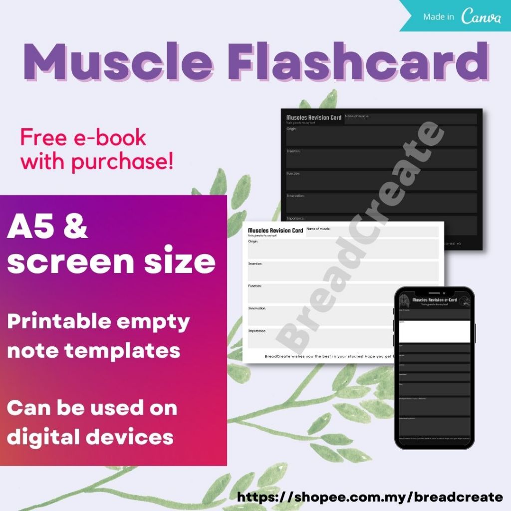 Muscle Flashcard with Free Gift: Anatomy Memory Mnemonics Medical ...