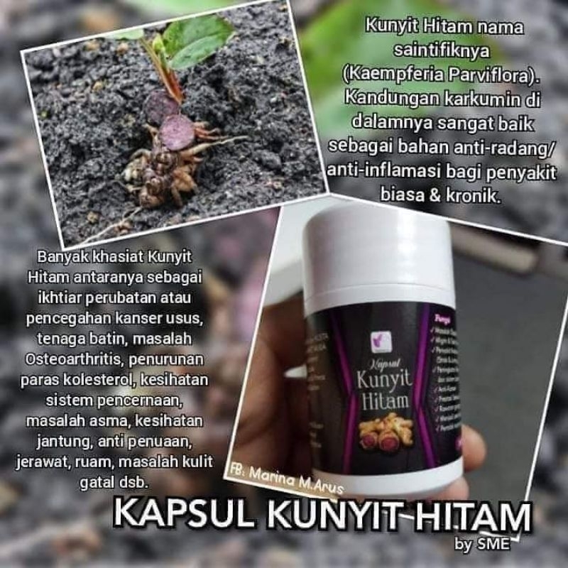 kunyit hitam kapsull | Shopee Malaysia
