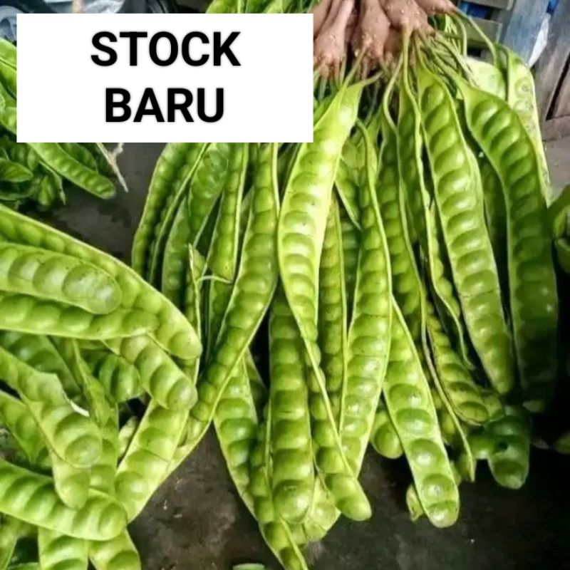 PETAI TUA GRED A SEIKAT RM10 SAHAJA . FRESH NEW STOCK / PEAS / PETAI ...