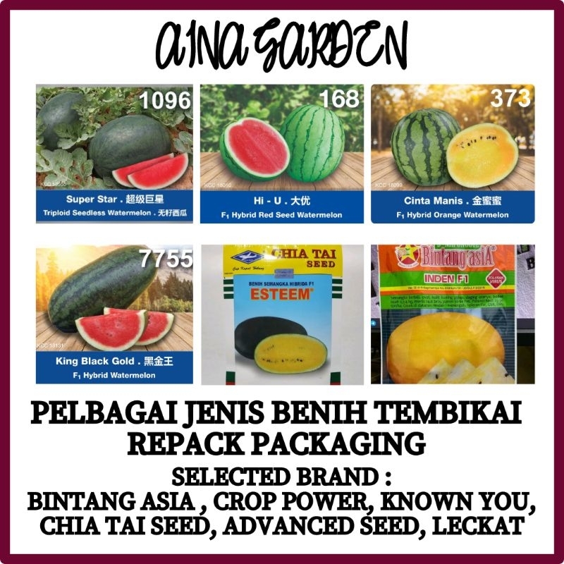 HSK PELBAGAI JENIS BIJI BENIH BUAH TEMBIKAI MERAH KUNING MINI MADU ...