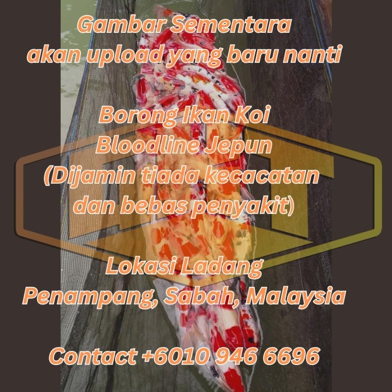 Malaysia Ready Stock Aeration Tube / Uniring / oxygen tube for Koi Pond ...