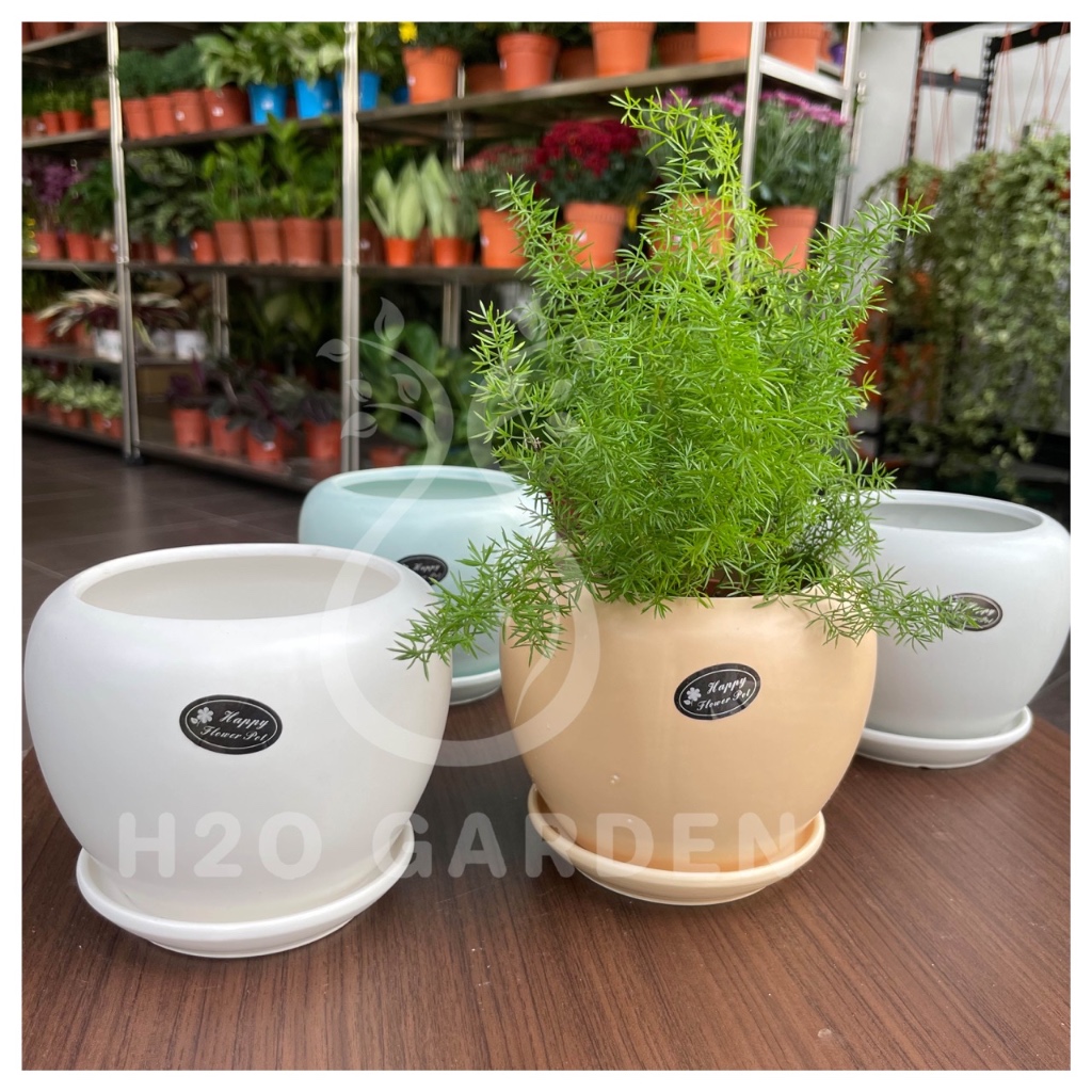 H2O - Ceramic Pot (small apple pot) / Pasu Seramik (kecil bentuk Apple ...