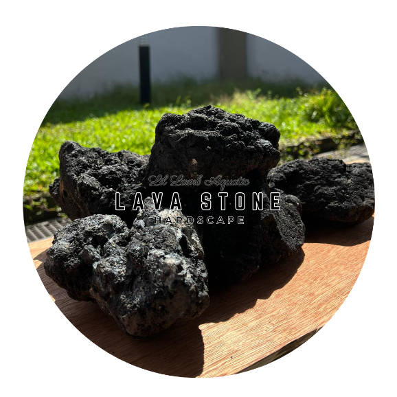 [Hardscape] Big Lava Stone 1KG Premium Volcanic Dark Rock Black Inert ...