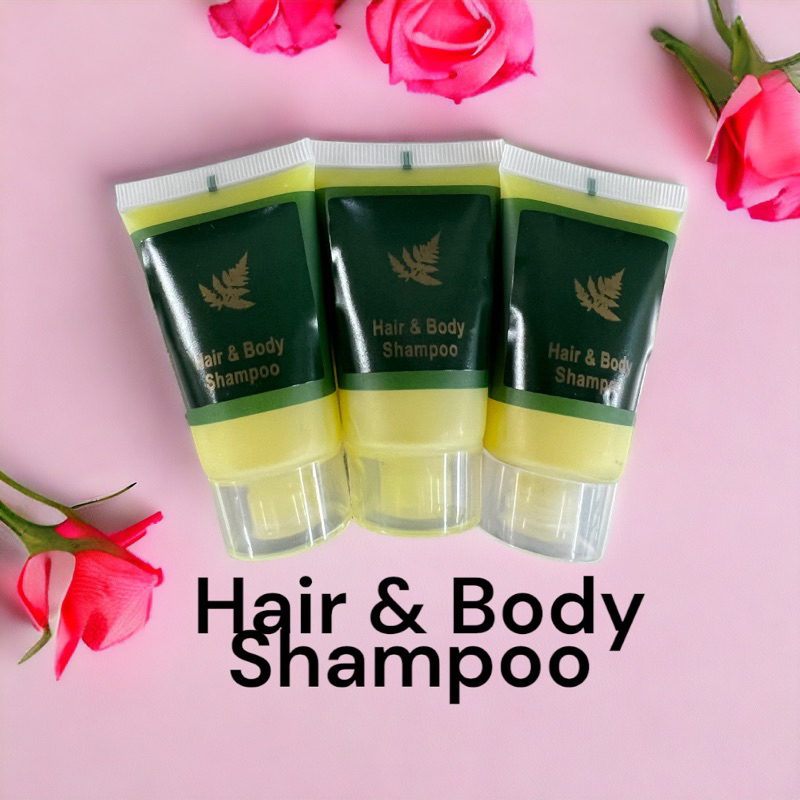 Hair & Body Shampoo 2 in 1 30ml - 1 Carton (500pcs) | Shopee Malaysia