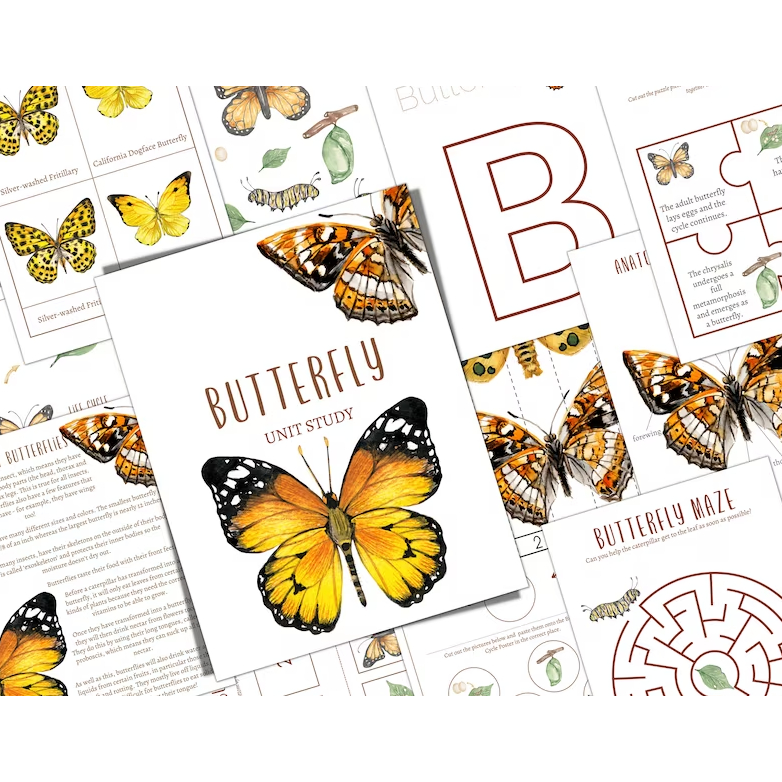 PDF] Butterfly Unit Study Home Learning Kids Printable Montessori ...