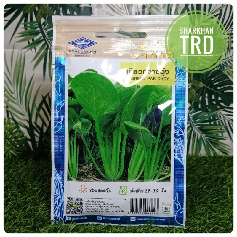 Paket 4700 Biji (Seeds) GREEN PAK CHOY Chia Tai Home Garden Benih Sayur ...