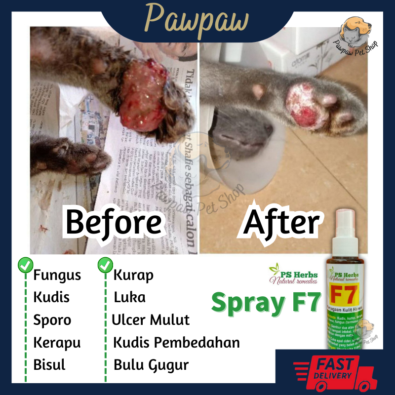 Pawpaw PS Herbs Herb Spray F7 For Cat Ubat Kurap Kucing Luka Fungus ...