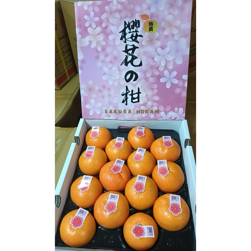 China Sakura Wogan Mandarin 中国樱花沃柑 | Shopee Malaysia