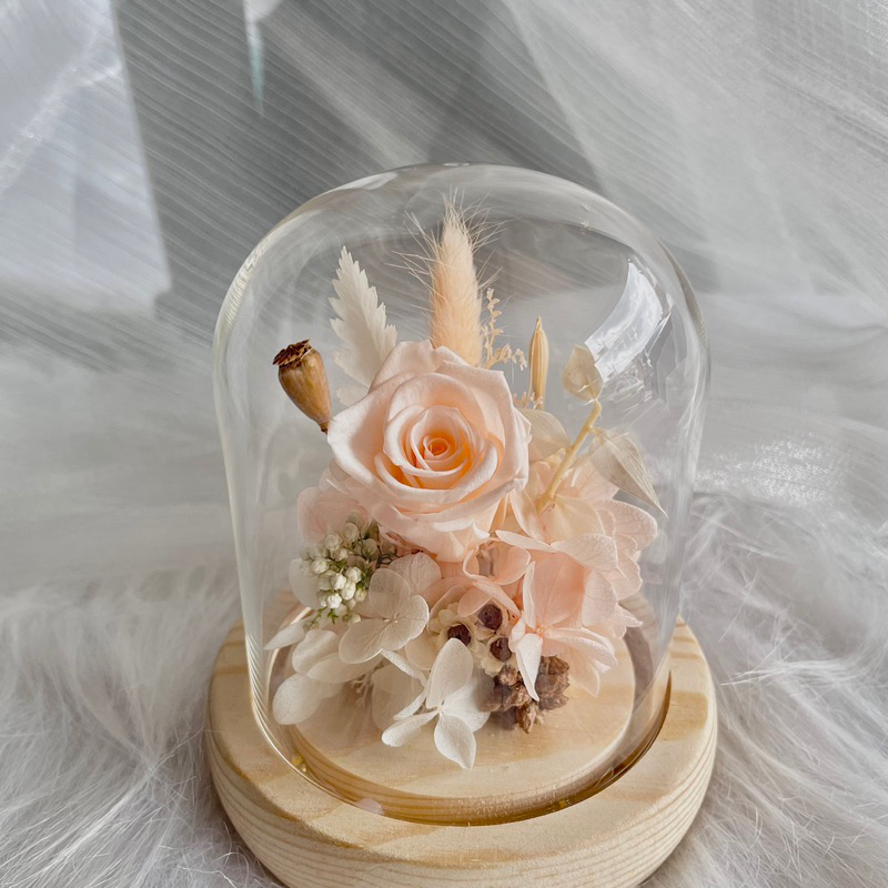 Preserved Flower LED Bell Jar Glass Dome 永生花玻璃罩 Gift for girl 女生礼物 ...