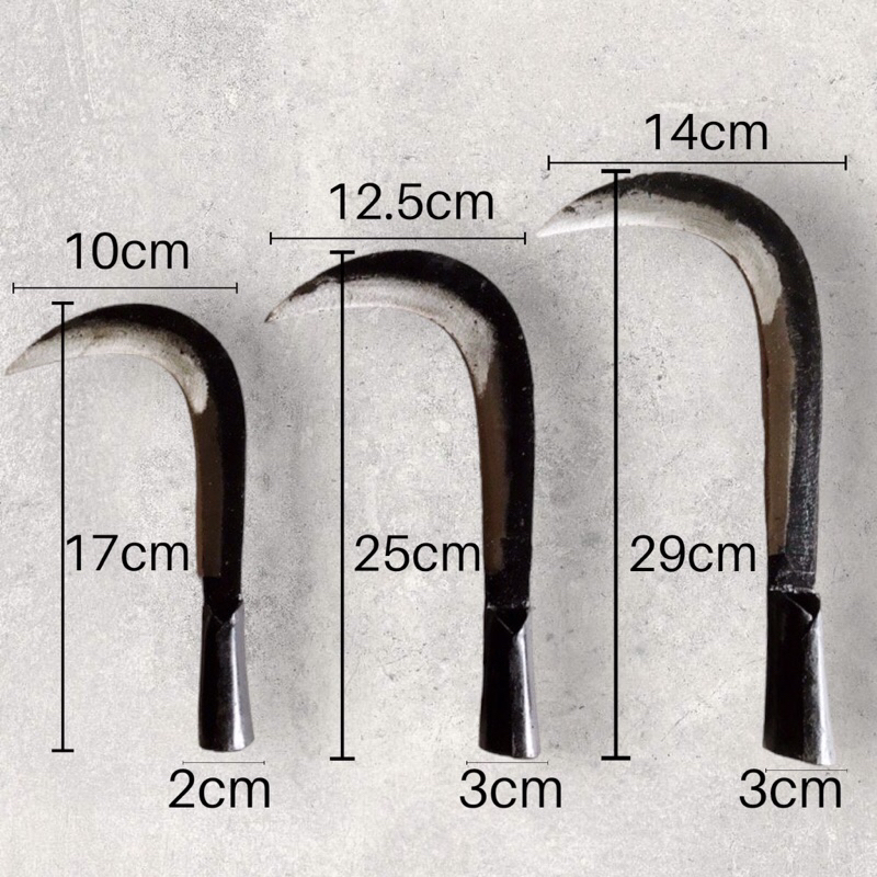 Sabit Nyior Lengkung Daun Pisang / Kelapa Spring Besi [Buatan Thailand ...