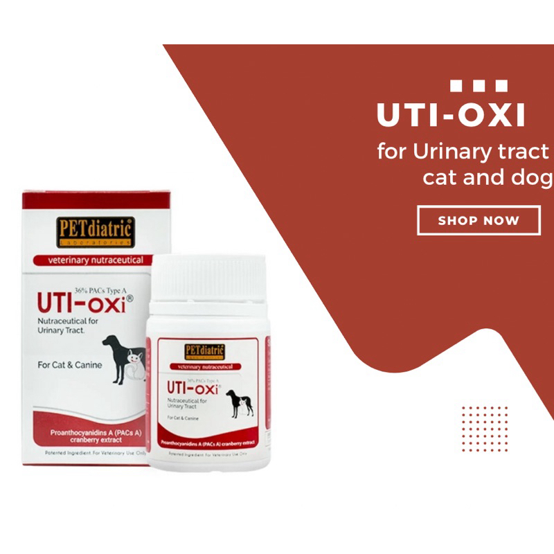 UTI-oxi ( supplement urinary cat/dog) | Shopee Malaysia