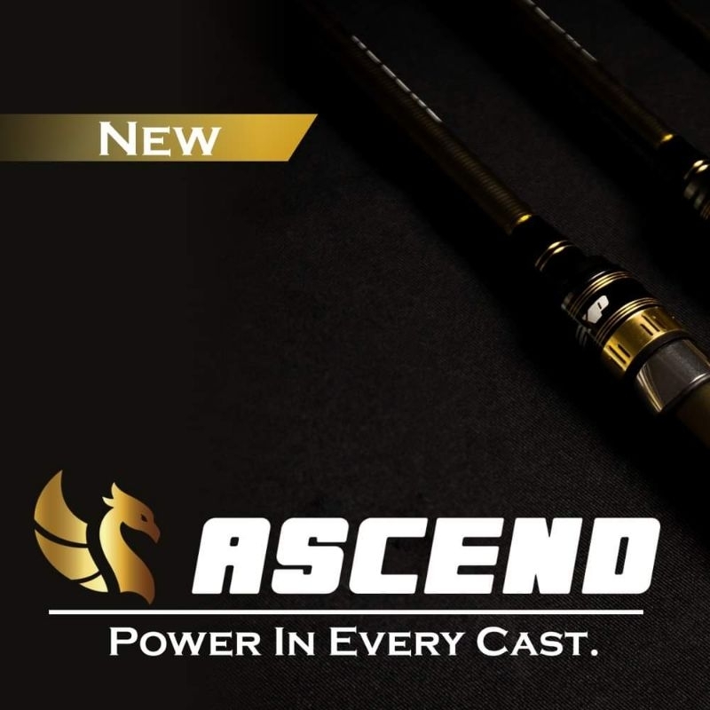 EXP ASCEND PRO Series Baitcast & Spinning Rod BC Baitcasting Casting ...