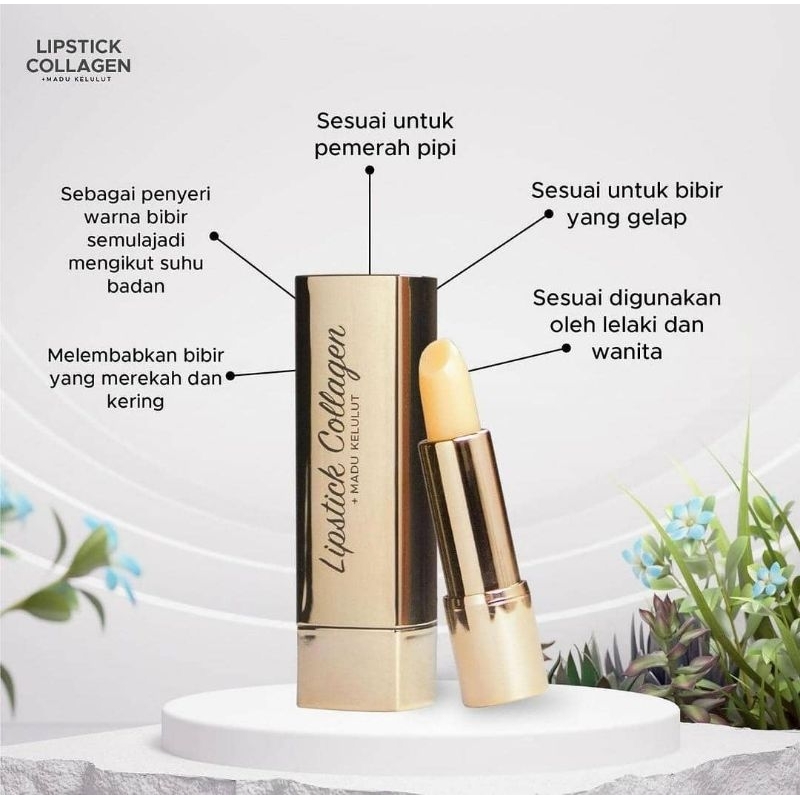 DHERBS LIPSTICK COLLAGEN MADU KELULUT BY ALIFF SYUKRI TERLAJAK LARIS ...