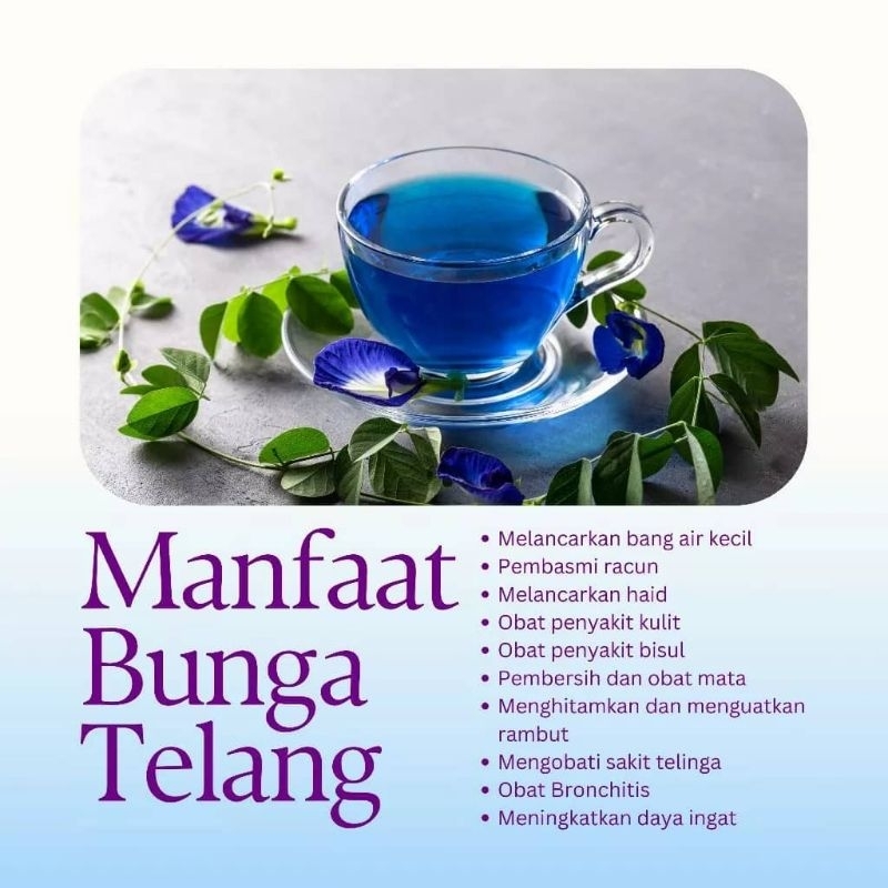 TEH BUNGA TELANG BIRU ORI | Shopee Malaysia