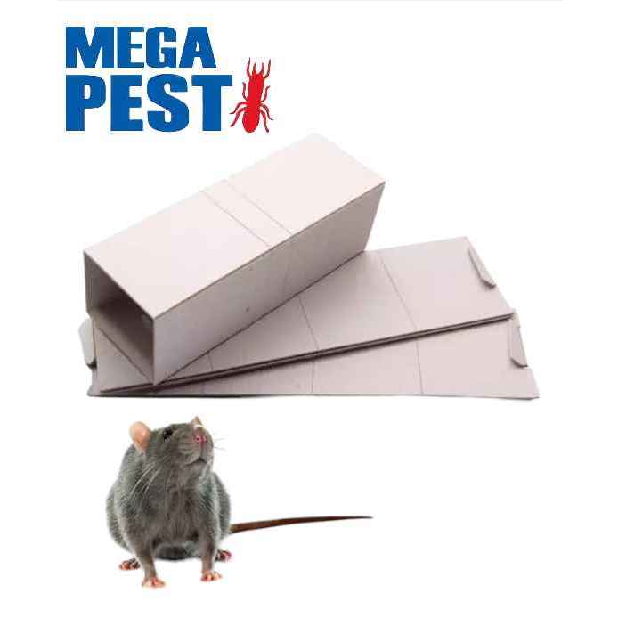 Rat Glue Trap/Perangkap gam tikus | Shopee Malaysia