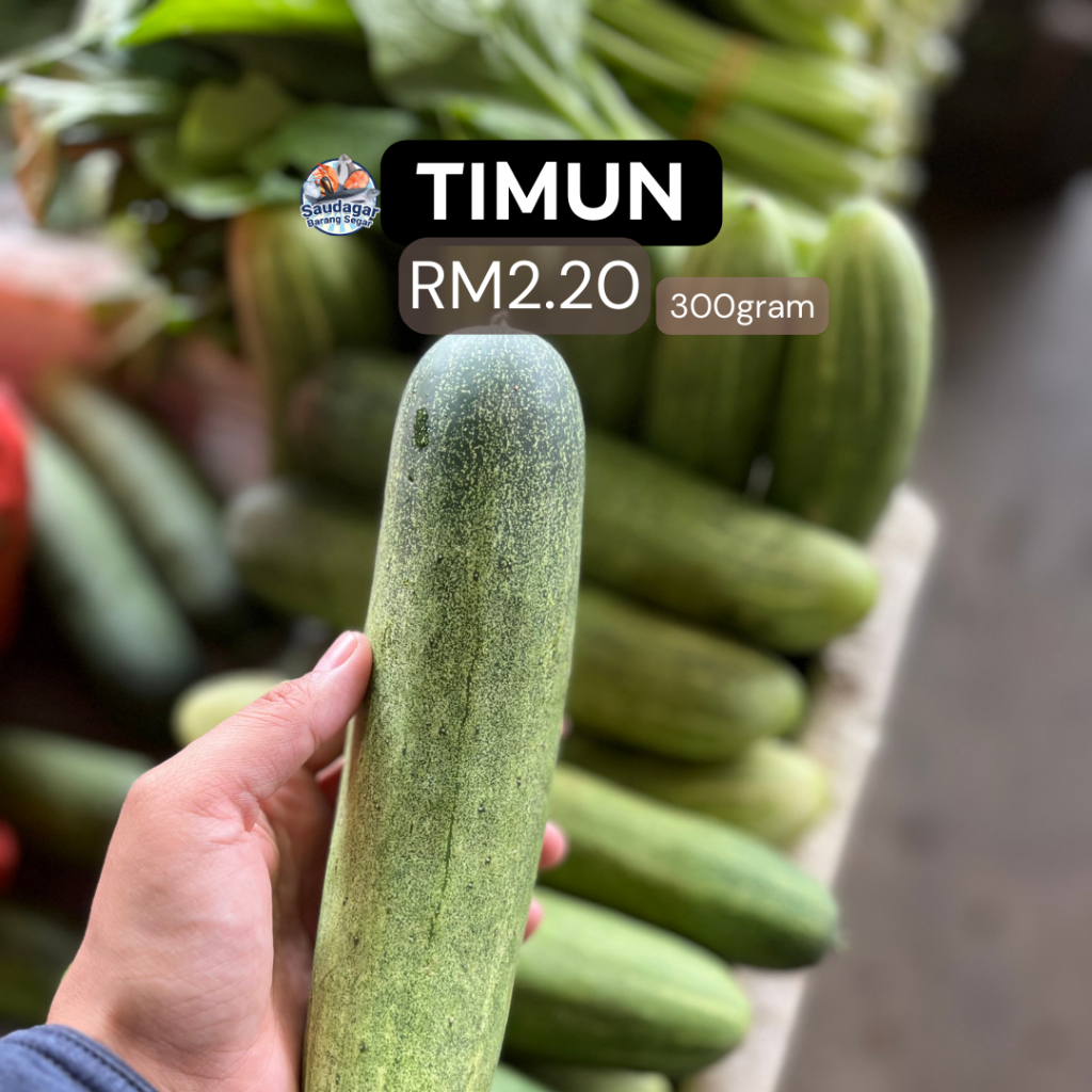TIMUN / FRESH CUCUMBER | Shopee Malaysia