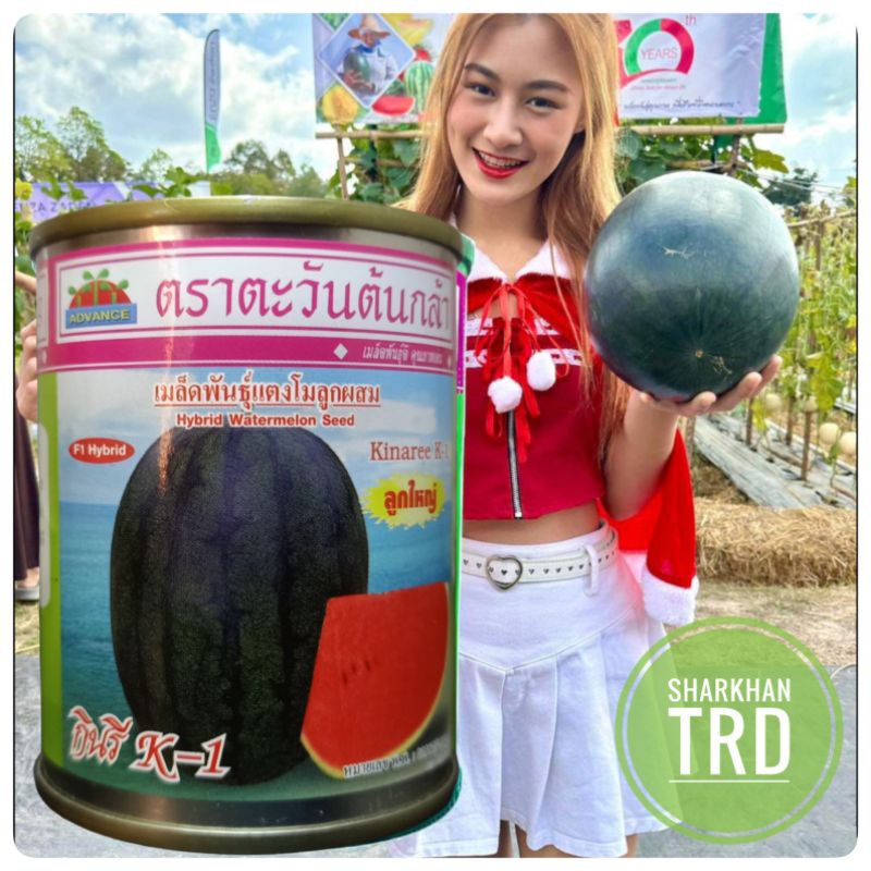 Tin 40g (800 Biji) KINAREE K-1 Advance Seeds Biji Benih Tembikai Madu ...