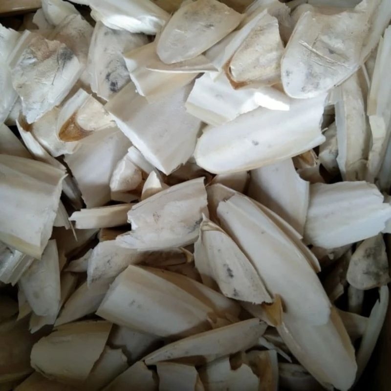 Serpihan dan pecahan tulang sotong 100 gram | Shopee Malaysia
