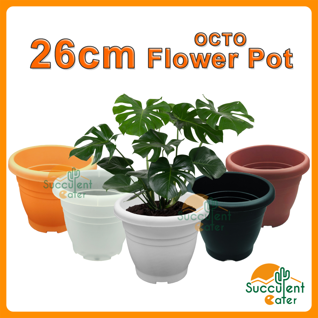 26cm Octo Plastic Flower Pot Bunga Pasu Pot 260 Decoration Transparent ...