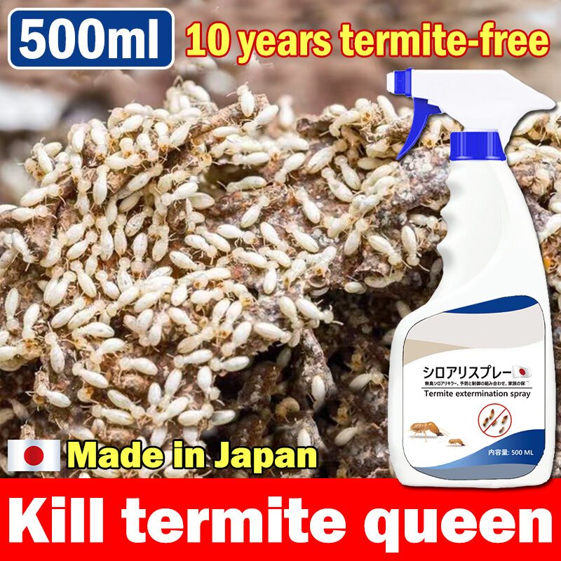No termites forever‼ termite killer termite spray 白蚁喷雾 500ML Spray a ...