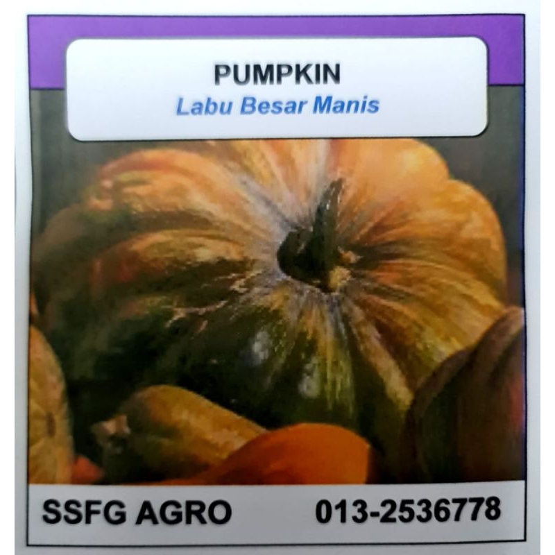 BENIH LABU MANIS @ PUMPKIN (10 Biji) | Shopee Malaysia