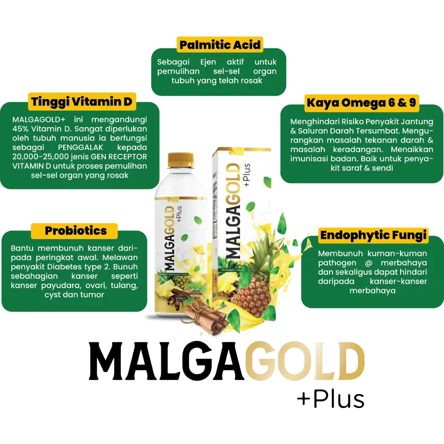 MALGAGOLD Penyakit Buah Pinggang Mengawal Bacaan Gula | Shopee Malaysia