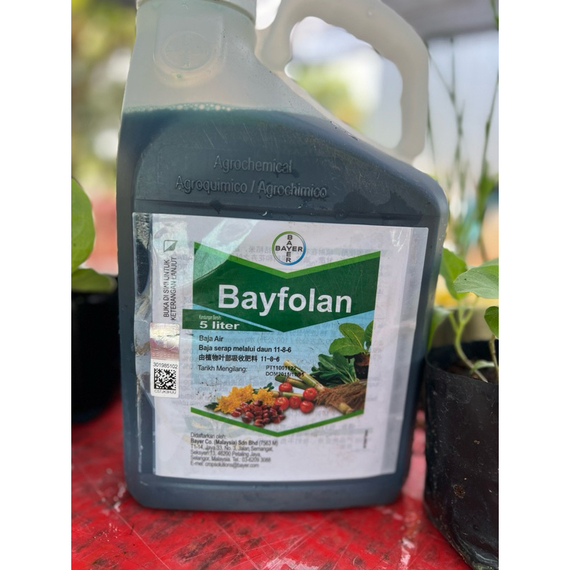 baja cecair daun Bayfolan Bayer 250ml | Shopee Malaysia