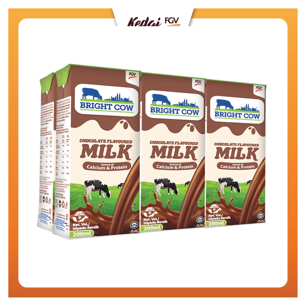 BRIGHT COW Chocolate Flavored UHT Milk 200ml x 6 | Shopee Malaysia