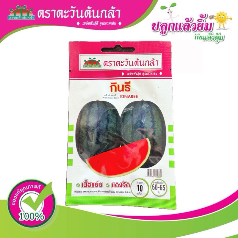 10Biji (+-)Benih Tembikai MADU KINAREE Merah 🍉 / Watermelon Seed 🍉 ...