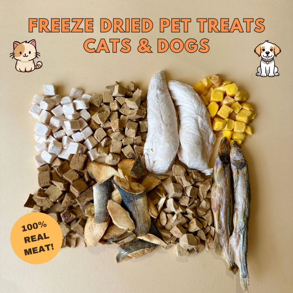 Premium 100% Natural Healthy Yummy Booster Freeze Dried Pet Treats 优质 100%天然健康丰富美味冻干宠物零食 ...