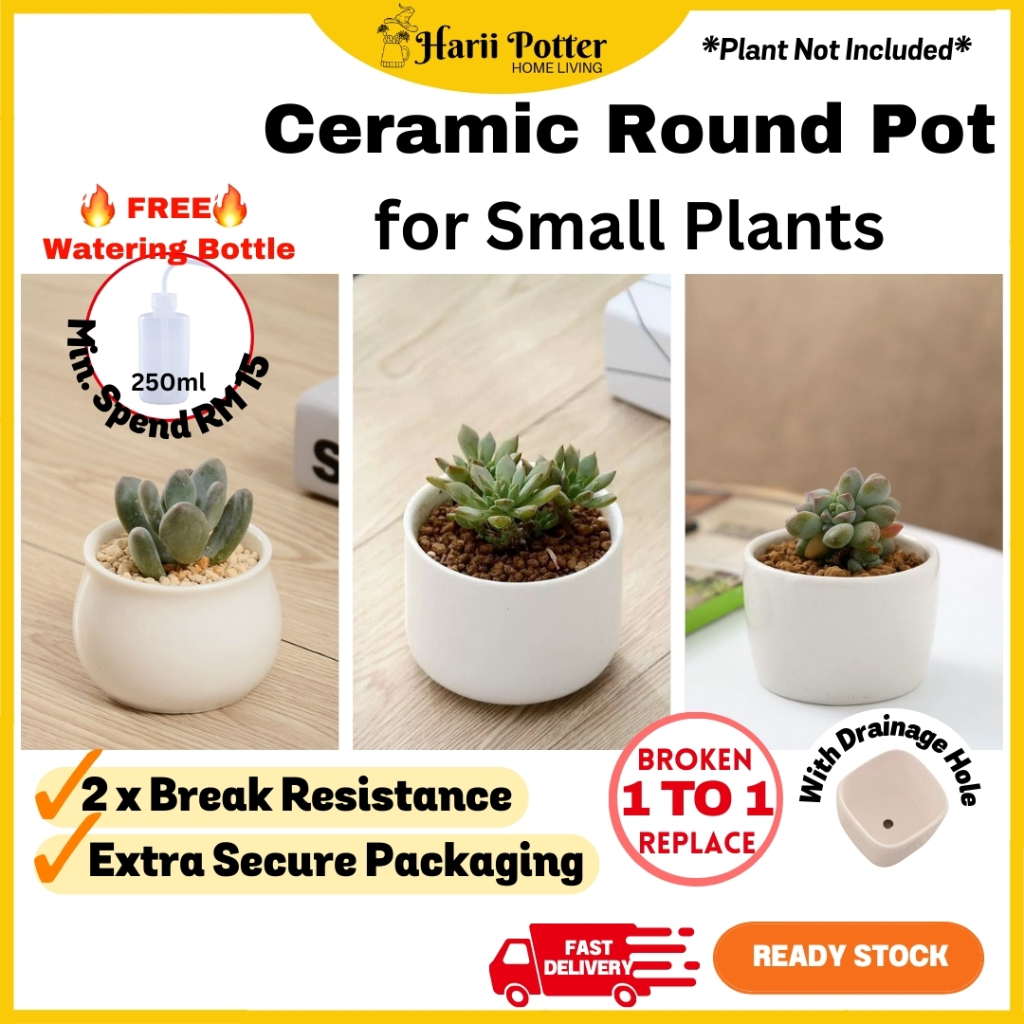 Round Ceramic Pot White Pot Succulent Small Flower Pot Pasu Putih Pasu ...