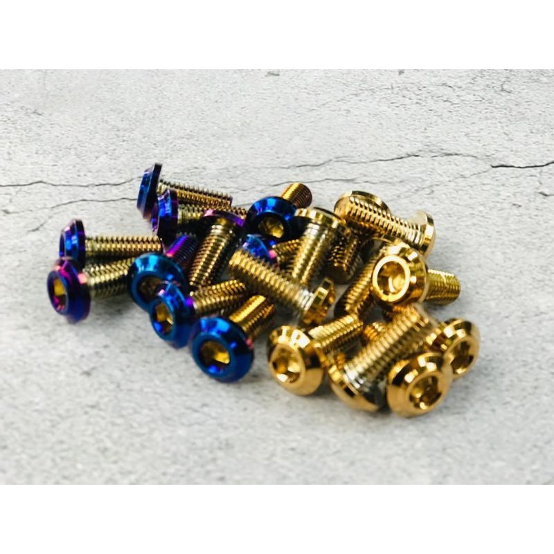 HEAVY DUTY TITANIUM DISC PLATE SCREW UNIVERSAL SKRU M8 20MM M6 20MM ...