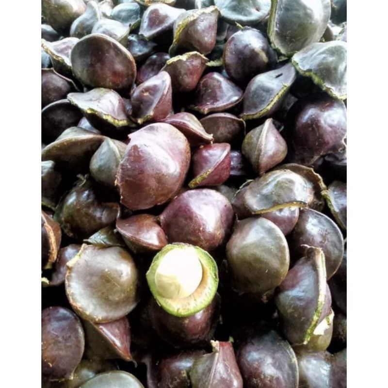 JENGKOL/JERING FRESH | Shopee Malaysia