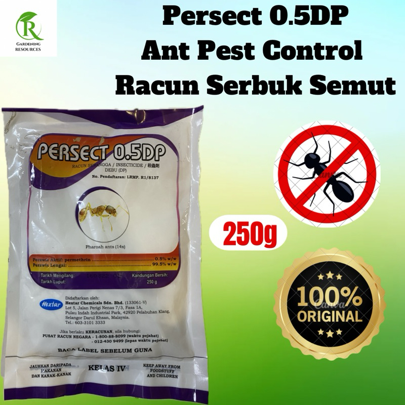 Persect 0.5DP 250g Ant Pest Control Anti Ant Killer Racun Serbuk Ubat ...