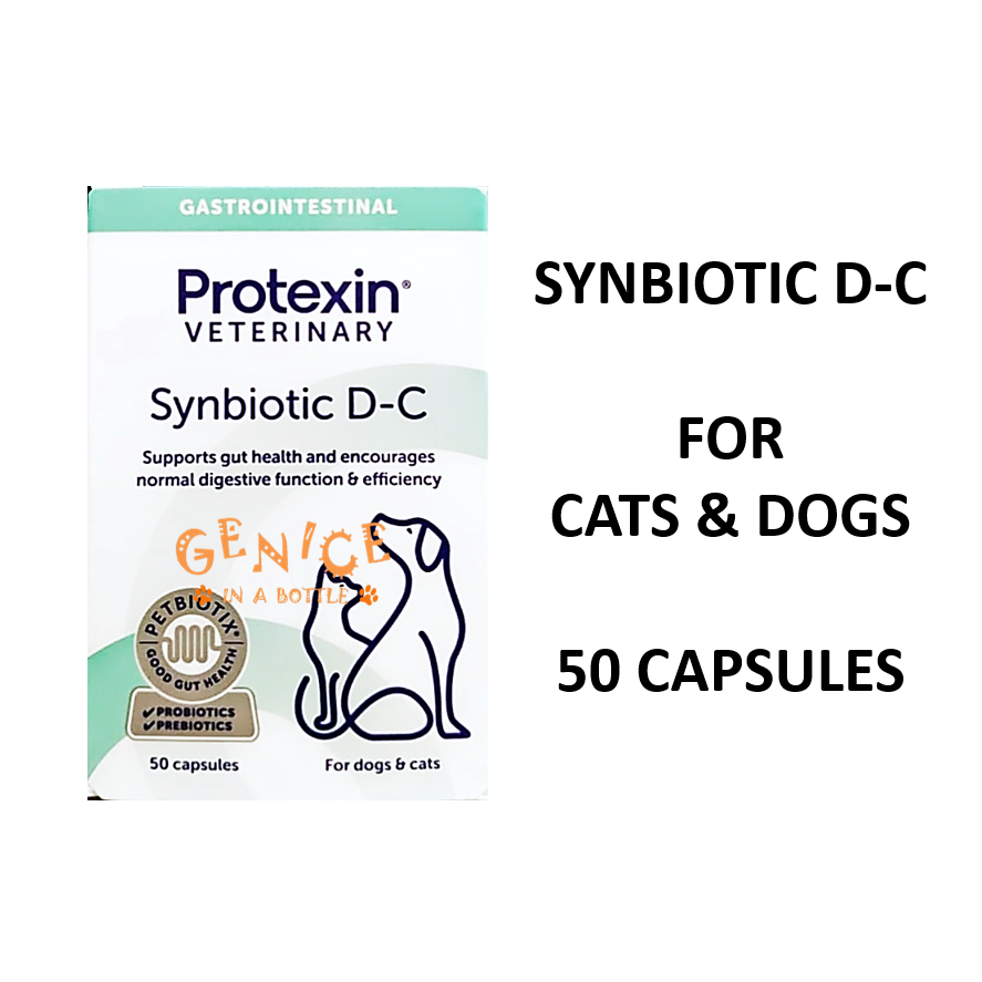 (EXP: 10/2027) Synbiotic D-C Daily Capsule For Dog & Cat 50 Capsules ...