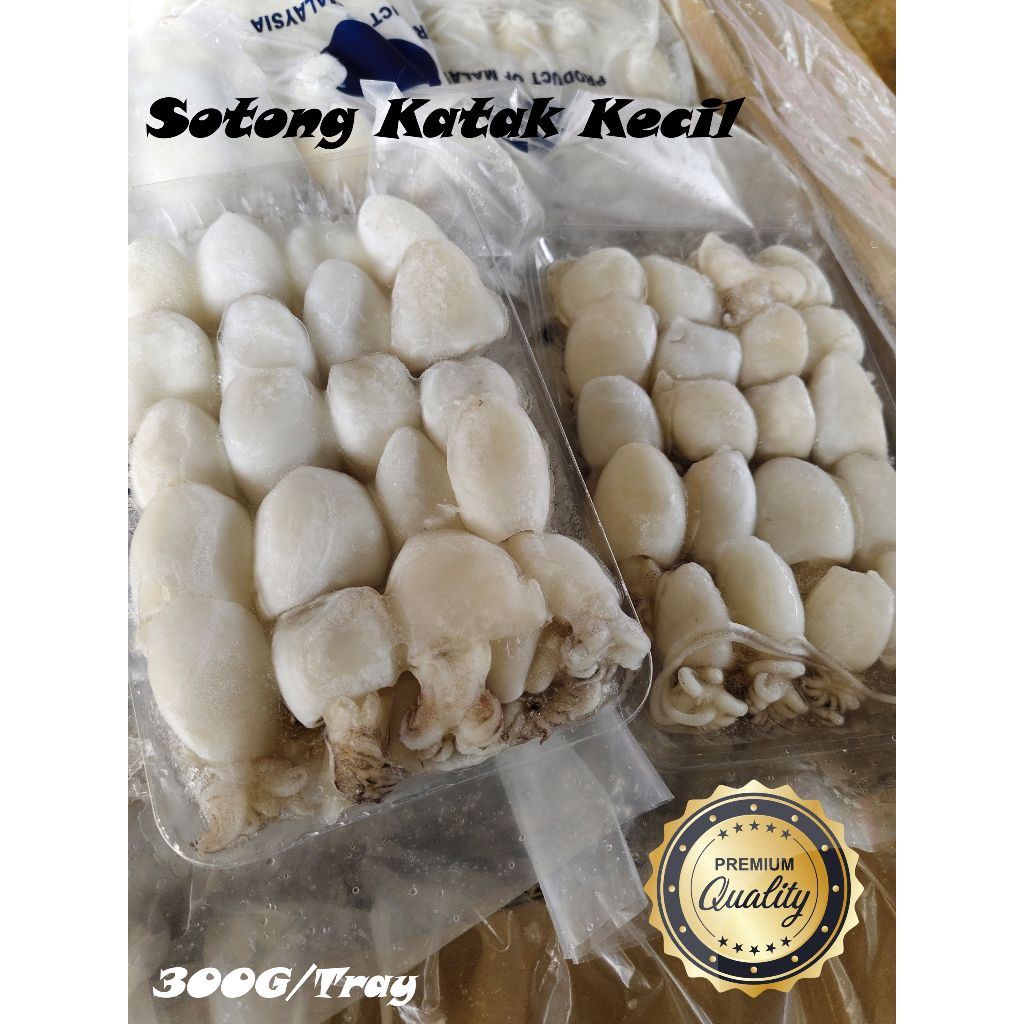 Sotong Katak Kecil/ Baby Cuttlefish Frozen Seafood/ 300g | Shopee Malaysia
