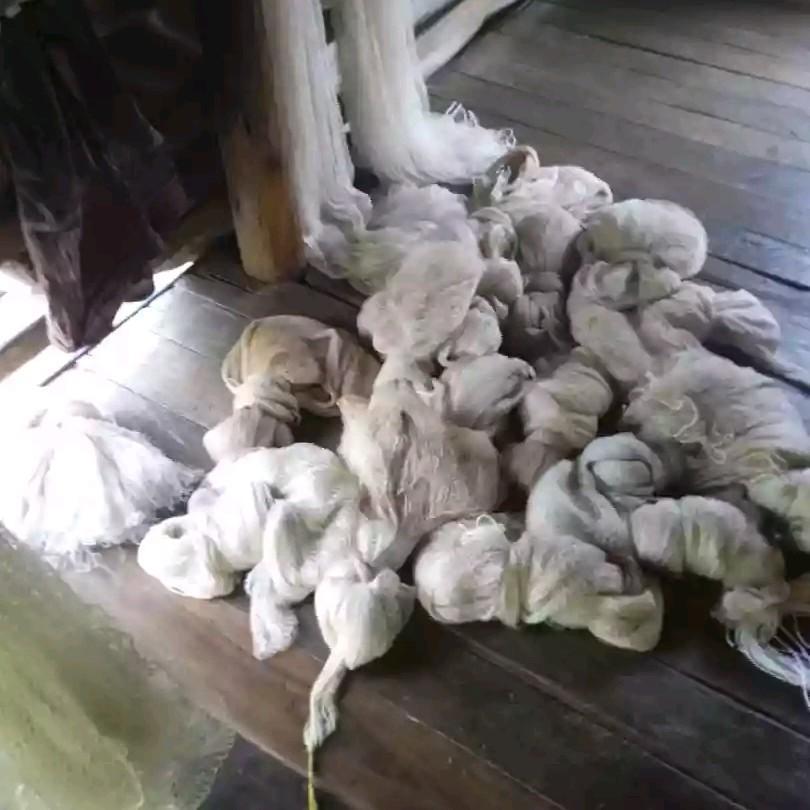 Jala ikan udang Myanmar buat tangan Cast net fishing from Arakan hand ...