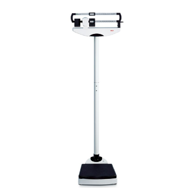 SECA 700 Mechanical Column Scale With Eye-Level Beam | Shopee Malaysia