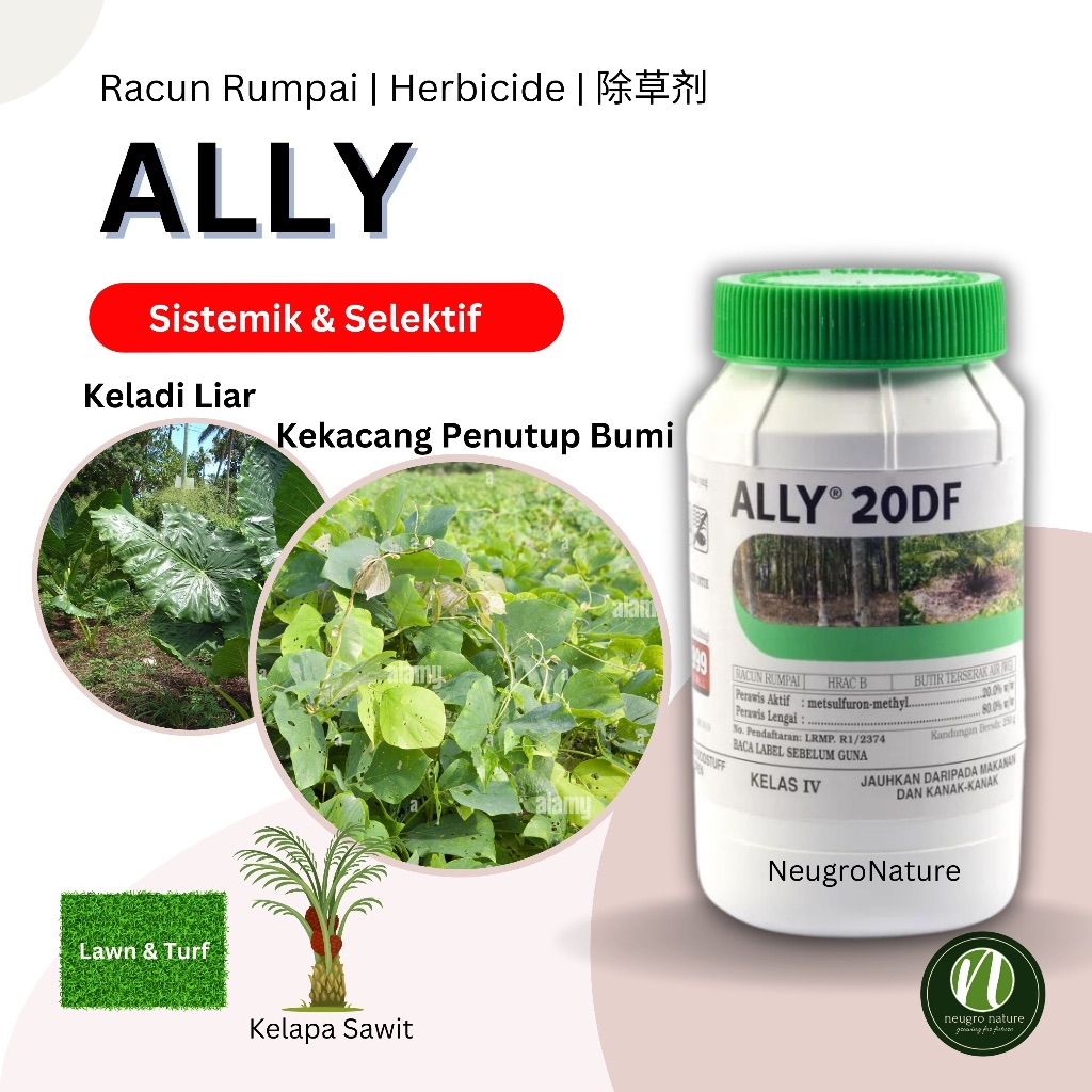 ALLY 20DF (250g) Racun Rumpai Rumput Kekacang Bumi Keladi Liar (Sama ...
