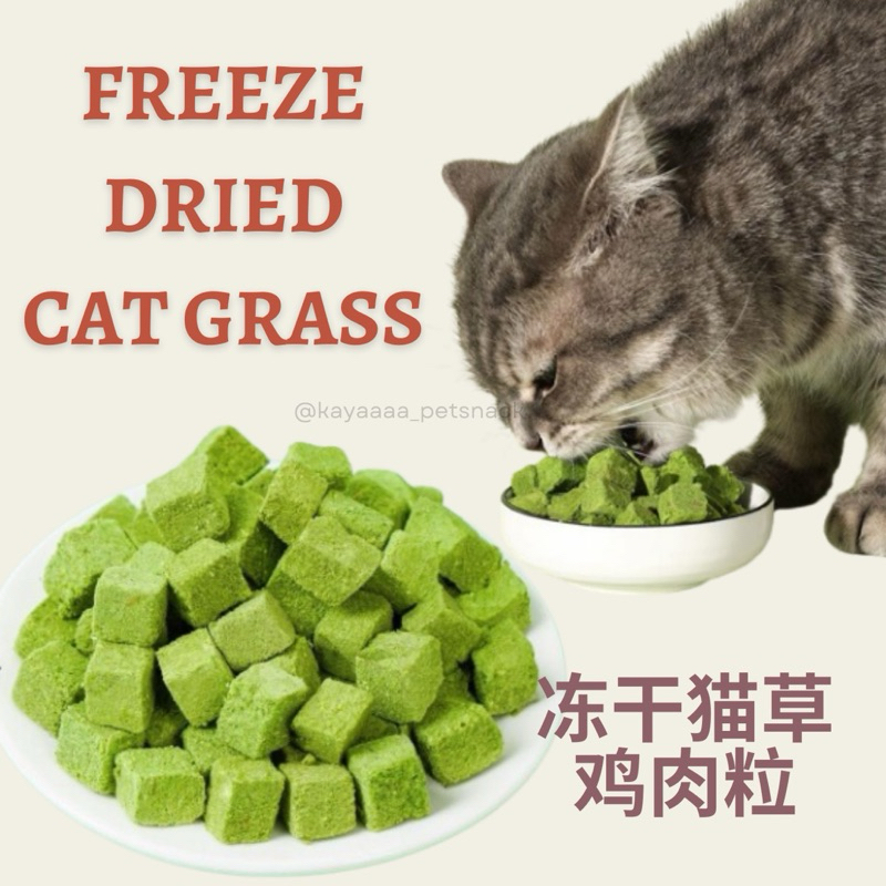 Freeze Dried Cat Grass Chicken Cubes Hairball Removal Control Cat ...
