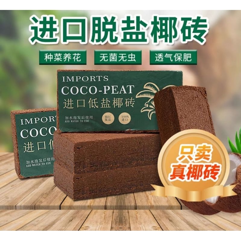100% Import Coco Peat 65g 进口脱盐椰砖 | Shopee Malaysia
