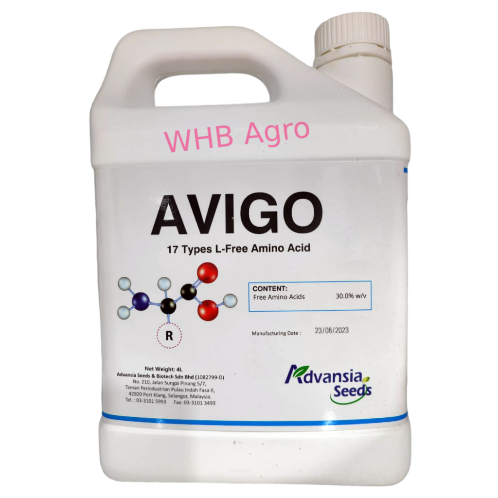 Advansia Avigo - ( 4L ) 👍 💯 | Shopee Malaysia