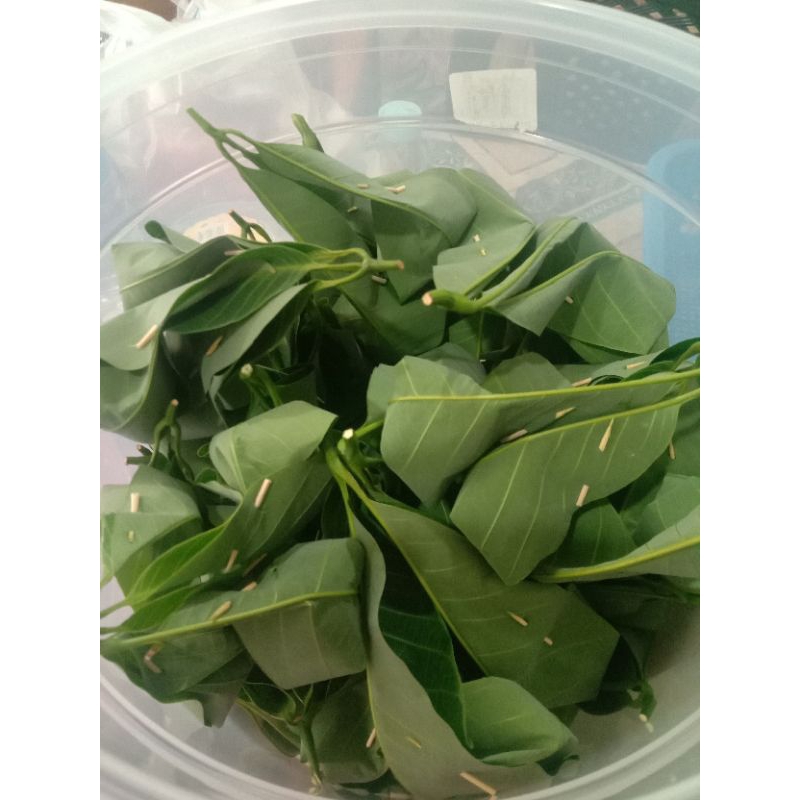 Tapai Pulut Daun Getah @ Daun Jambu Sedap Manis (100 biji) | Shopee ...