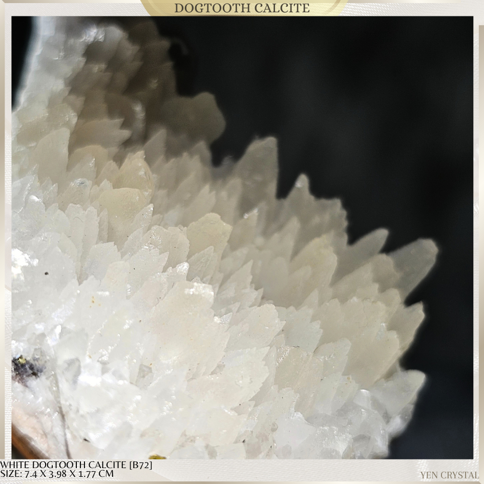 WHITEDOG-TOOTH CALCITE WITH PYRITE*PREMIUM GRADE QUALITY* [B72]MOROCCO ...