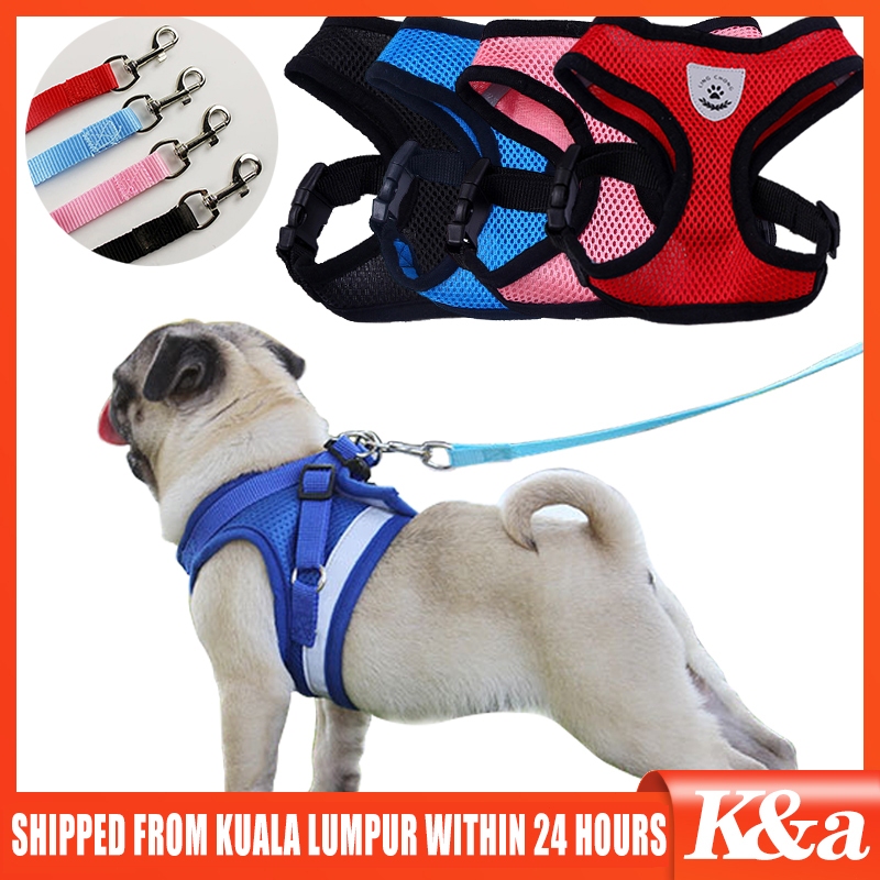 Rantai Kucing Pet Harness Tali Kucing Berjalan Murah Lead Cat Dog Rope ...