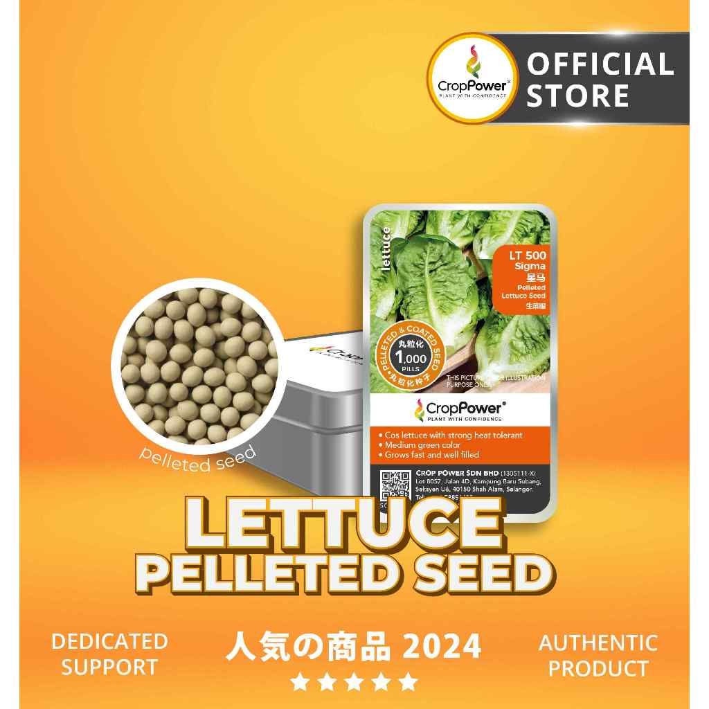 (1,000 PILL SEEDS) Biji Benih Sayur Salad Mini Cos Sigma 星马 LT500 CROP ...