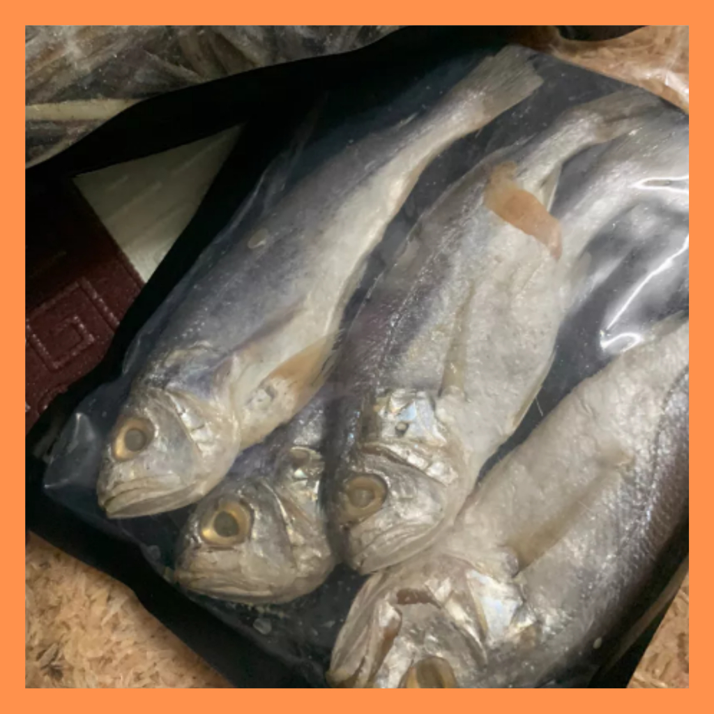 Ikan Masin Gelama Masam gebu (300g) -Salted Fish original fresh dari ...